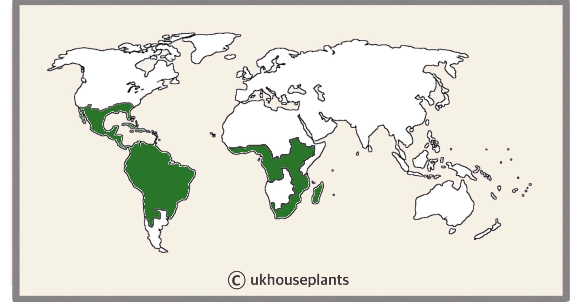 The Ultimate Cheatsheet to Cacti