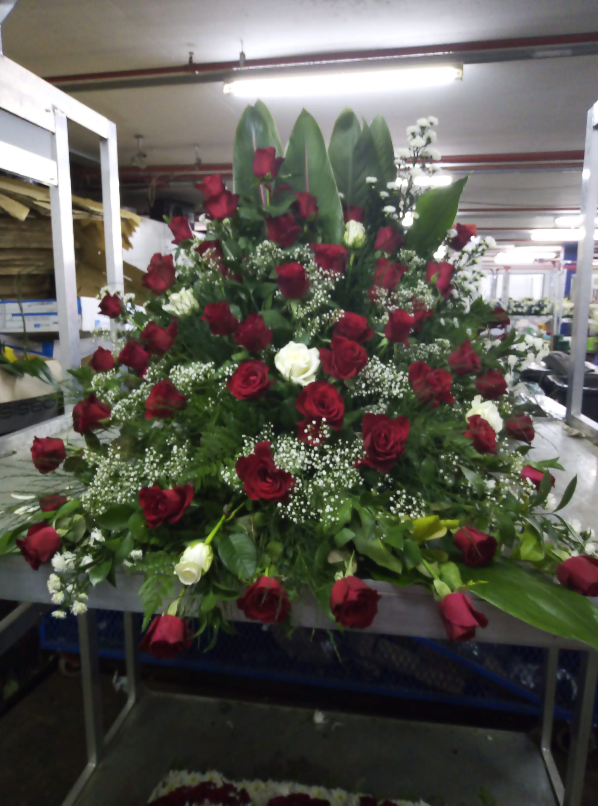 Jasons Fresh Flowers