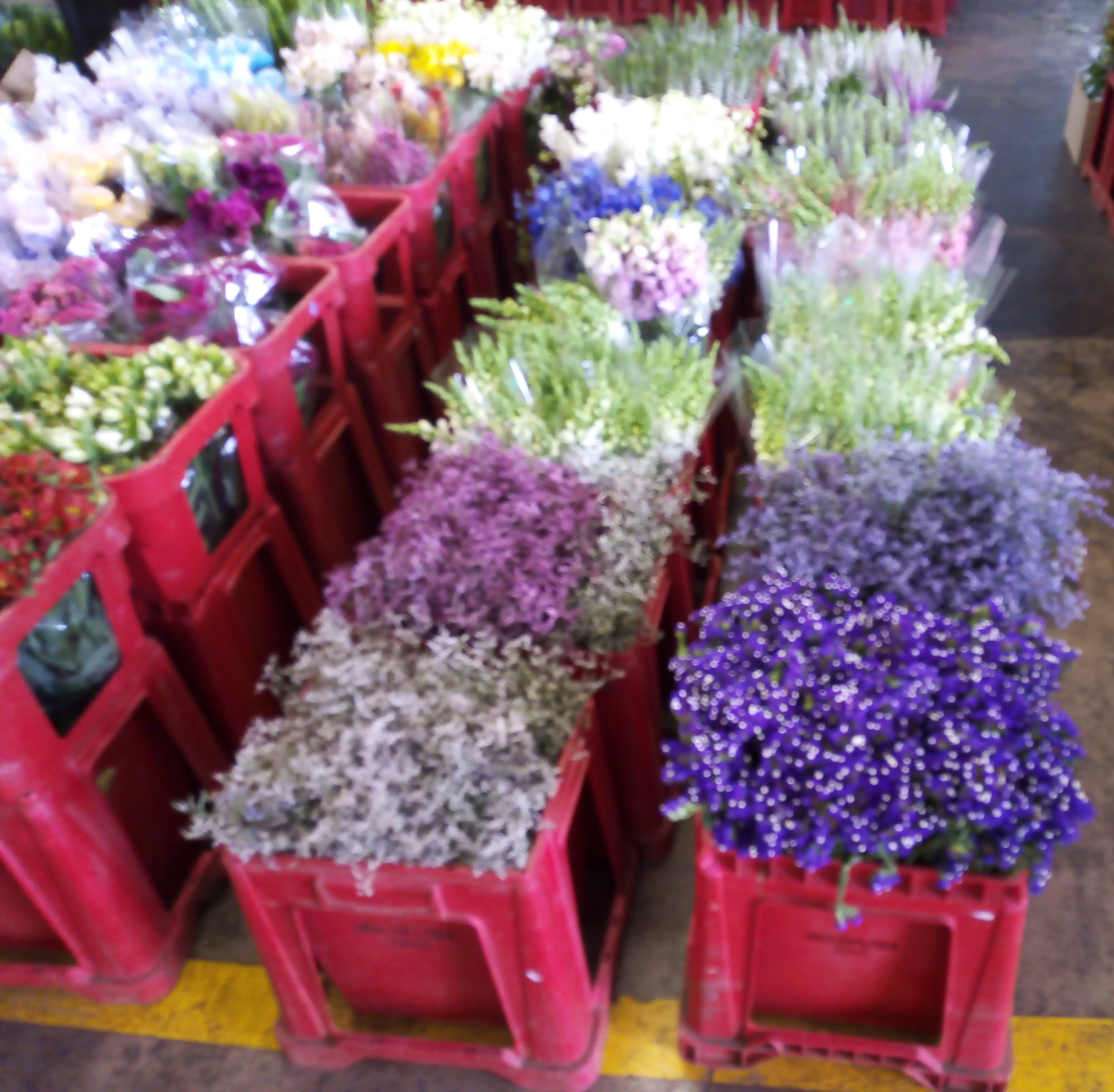 Jasons Fresh Flowers