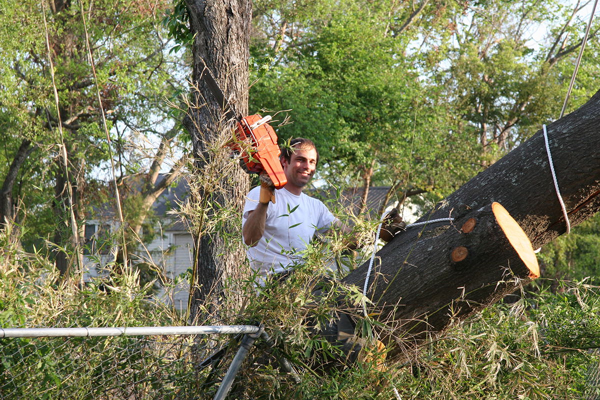 Woody's Tree Service / 540-488-9663 / Smith Mountain Lake / 30+ Years