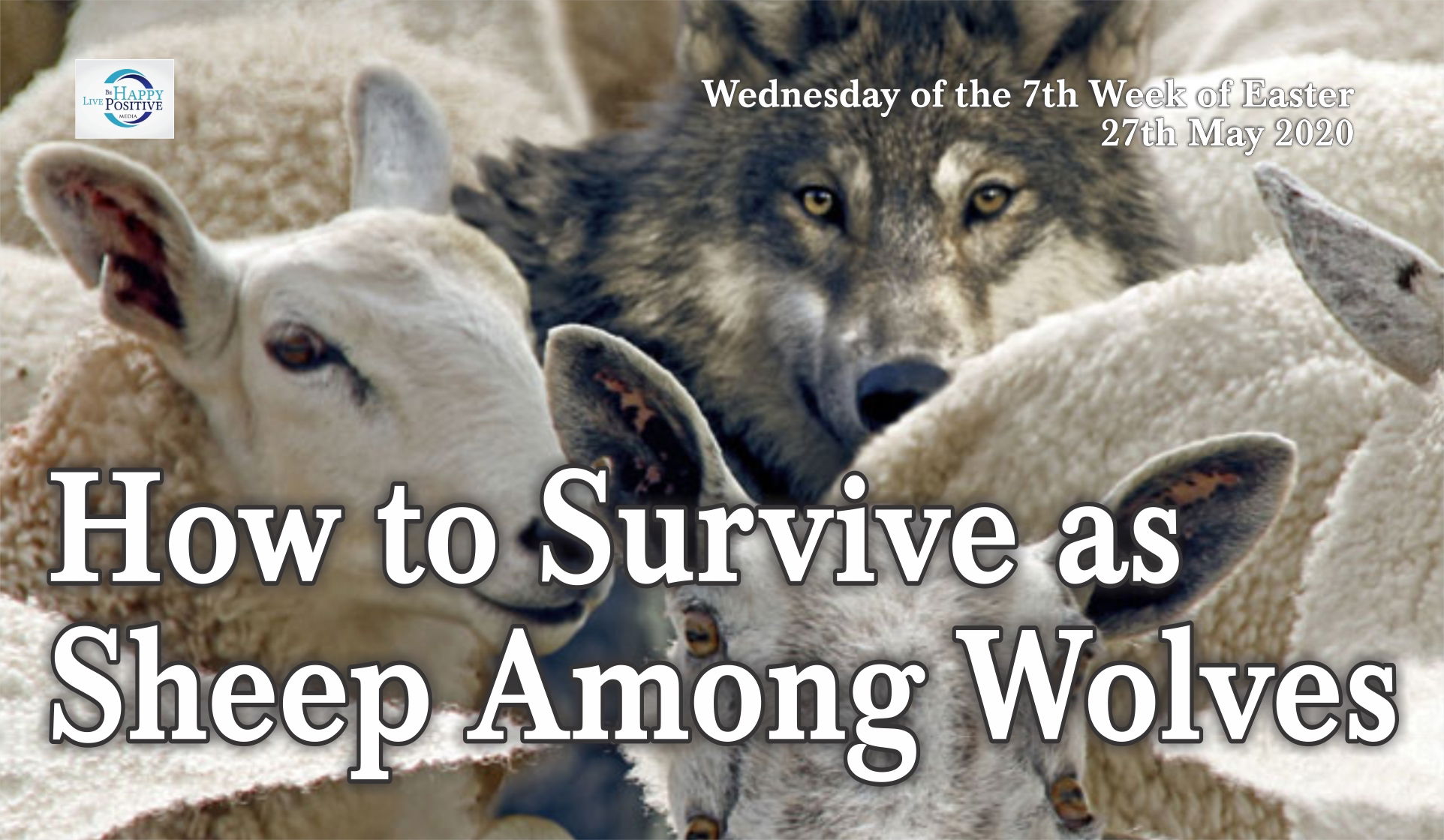 How to Survive as Sheep among Wolves - Be Happy Live Positive