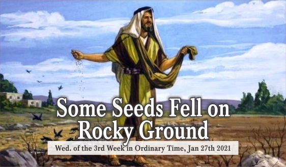 Some Seeds Fell on Rocky Ground - Be Happy Live Positive