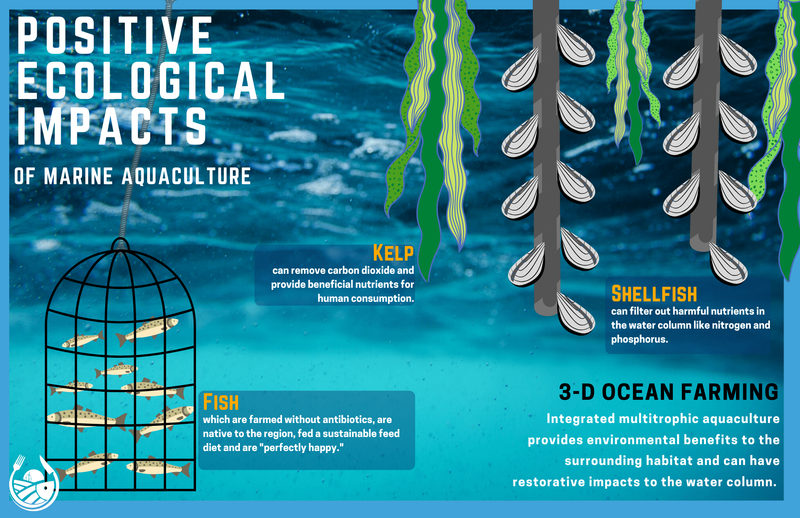 Infographics Gallery - Today's Farmed Fish