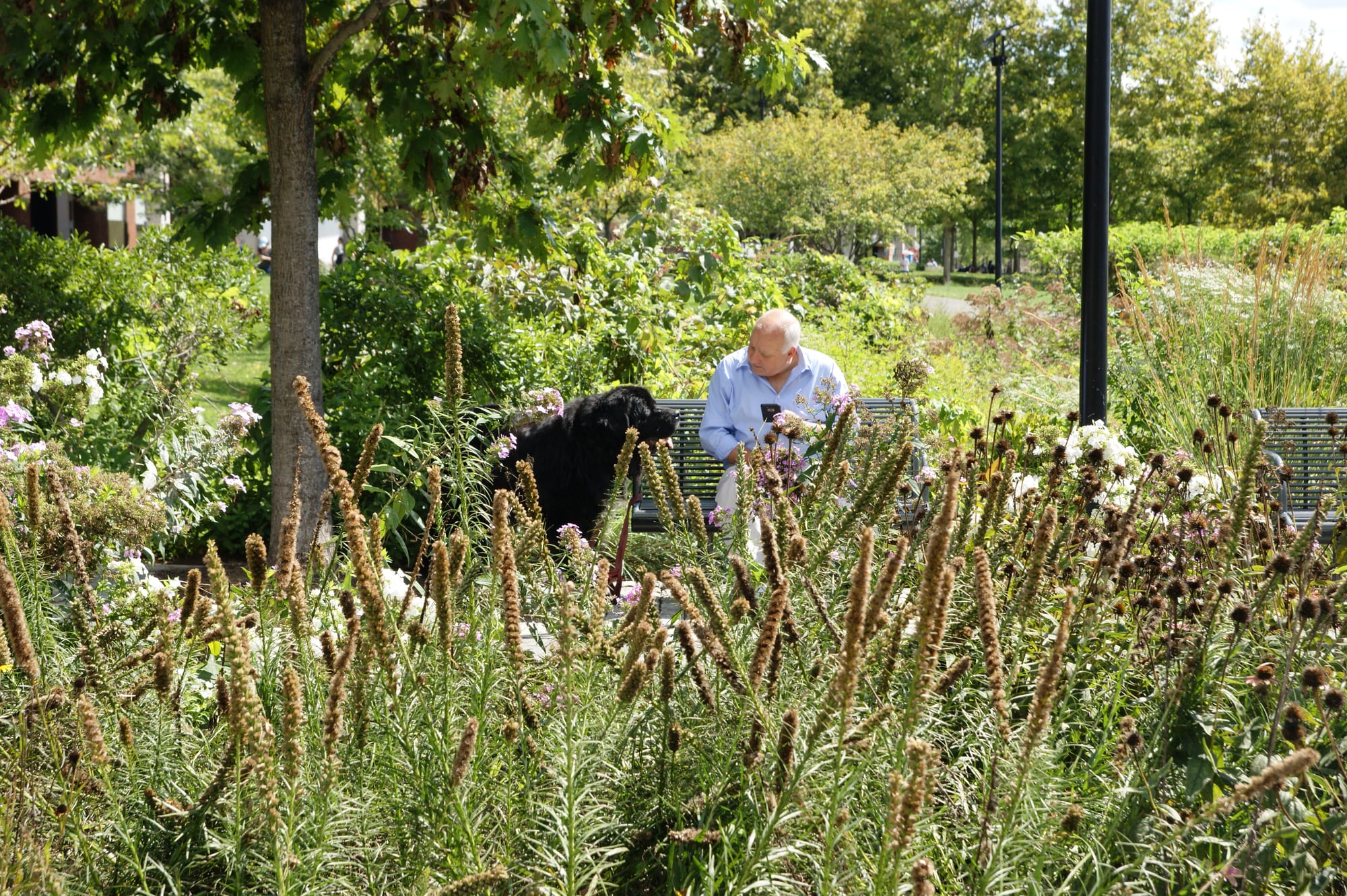 Julia Rapp - DC-Based Photographer and Journalist