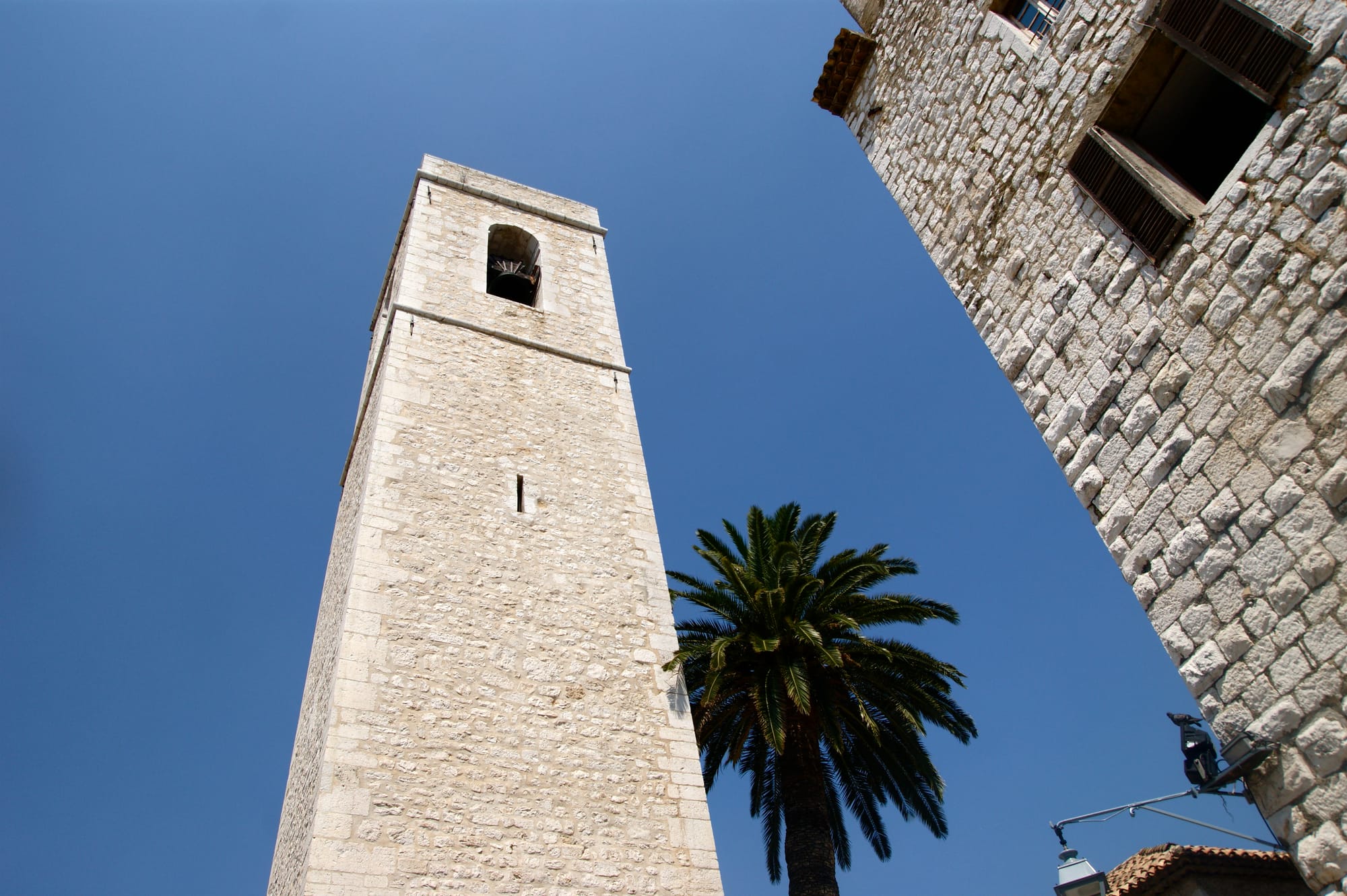 Julia Rapp - DC-Based Photographer and Journalist