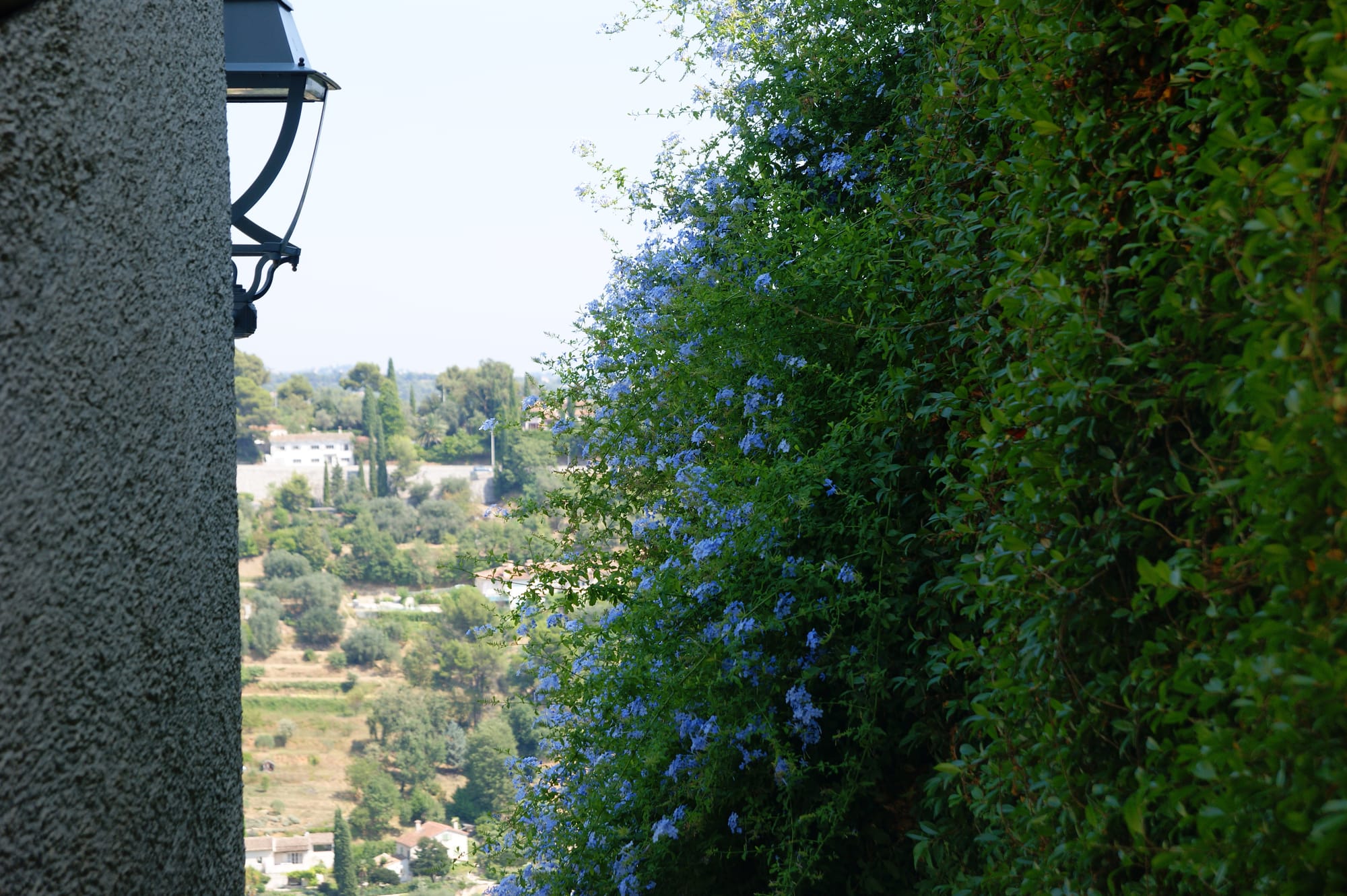 Julia Rapp - DC-Based Photographer and Journalist