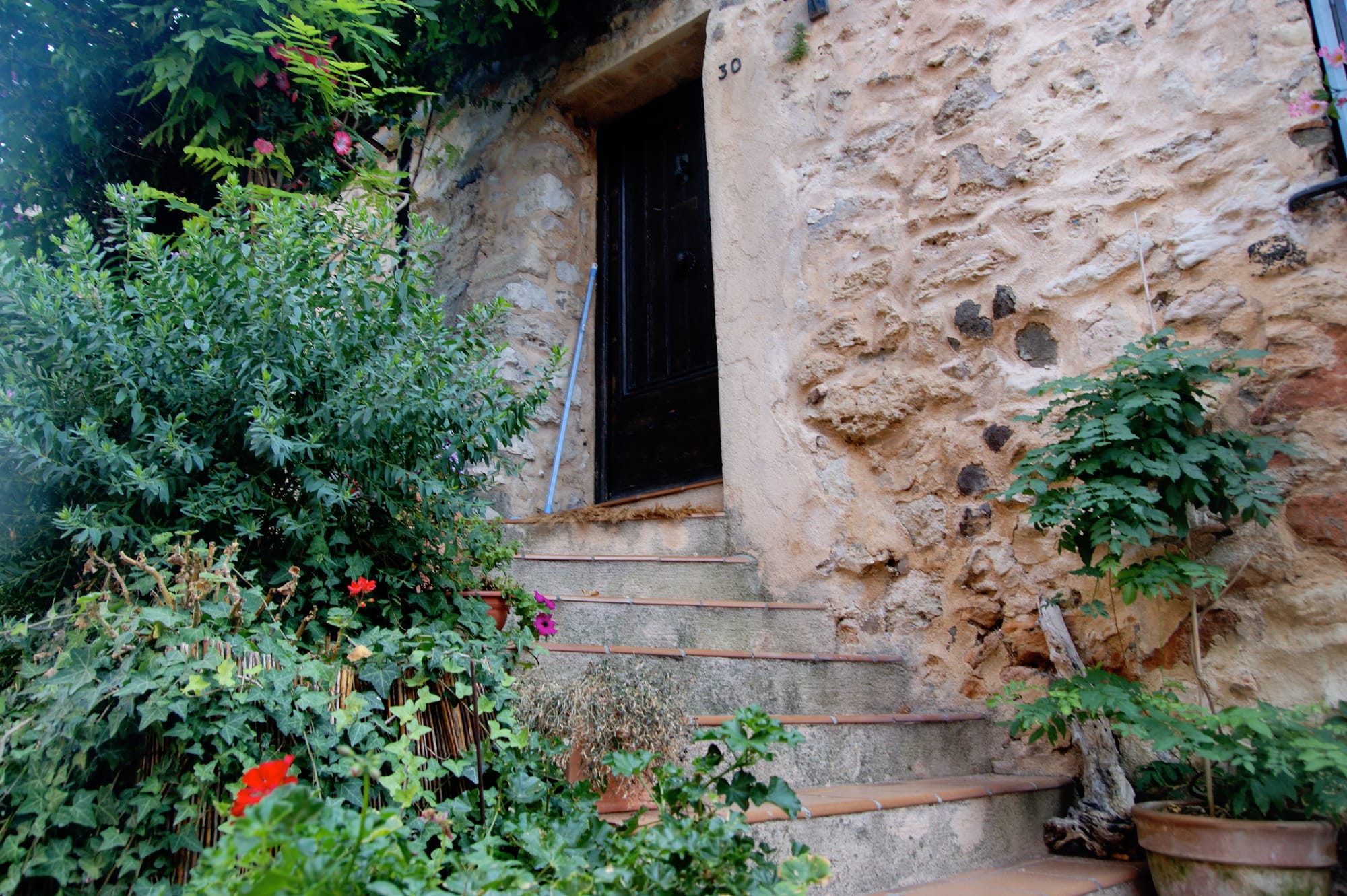 Julia Rapp - DC-Based Photographer and Journalist